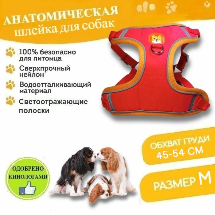 Шлейка для собак средних пород Xing Ning анатомическая обхват груди M (45-54 см), с поводком 148 см светоотражающая красная