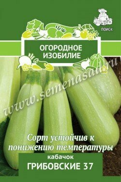 Кабачки Грибовский 37 2гр. (Огород. изоб. Поиск)