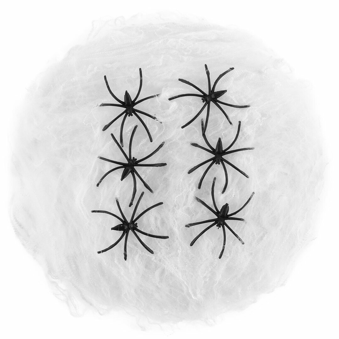 Декоративное украшение, Паутина и 6 пауков, 60 гр