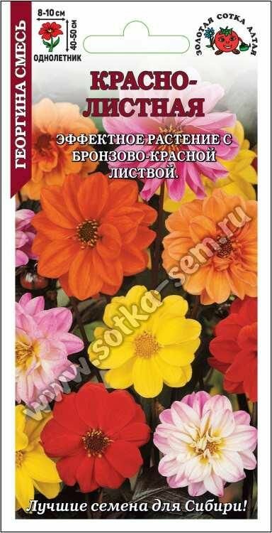 Семена Георгина "Краснолистная" (смесь), от Золотой сотки Алтая, 0,1 г