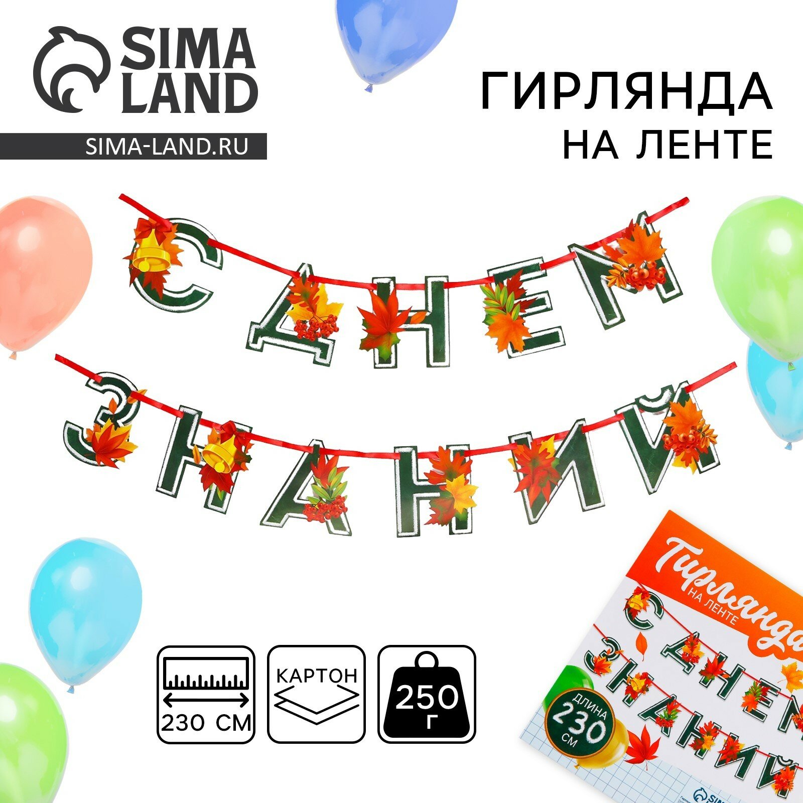 Гирлянда для украшения класса на ленте на 1 Сентября «С днем знаний», 230 см.