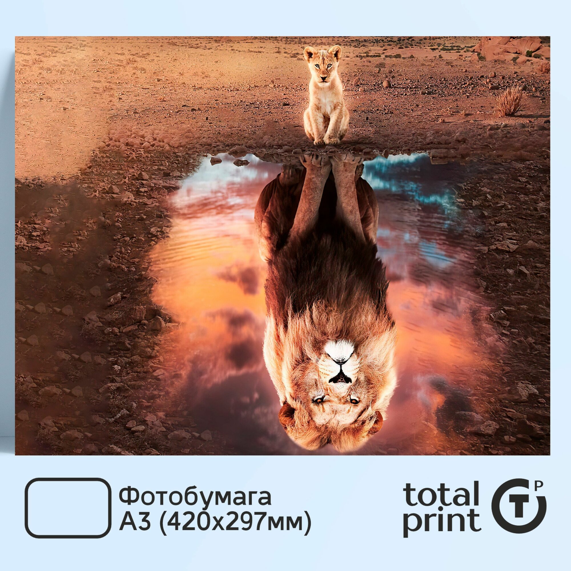 TotalPrint Постер для интерьера, Король Лев, А3(42х29,7см)