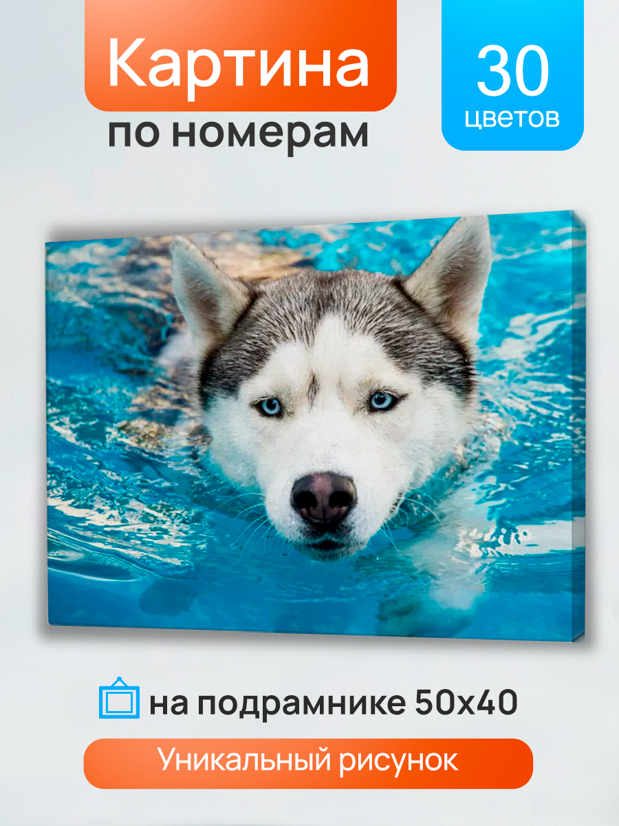 Холст с красками по номерам "Лучший пловец" 50х40 см. От бренда Jazzle. Артикул 1123103