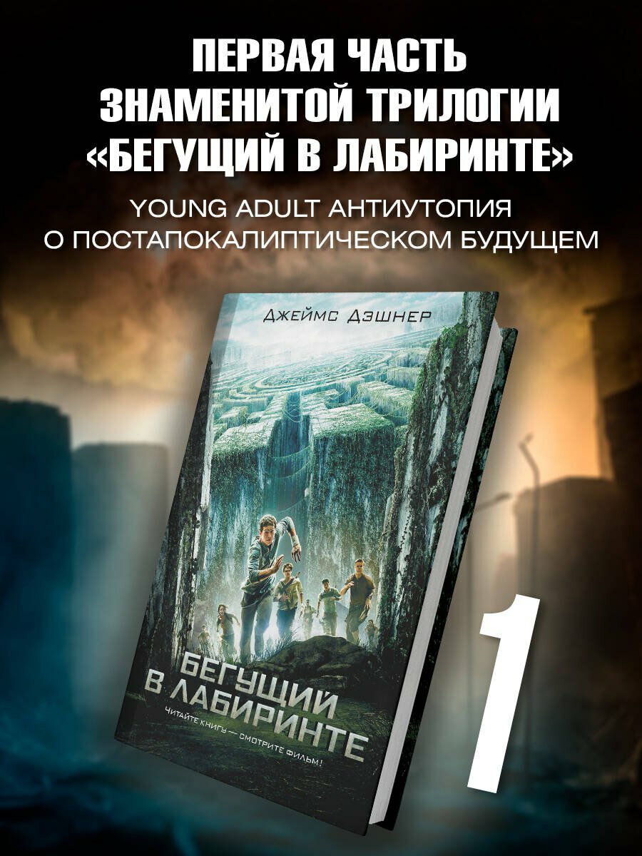 Бегущий в Лабиринте — фото 1