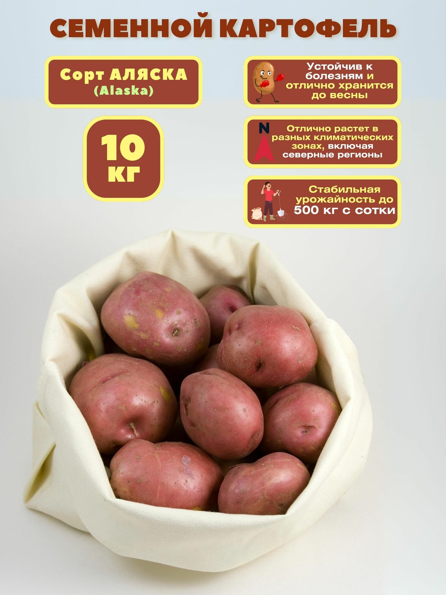 Картофель семенной Аляска, 10 кг. Раннеспелый сорт с высокой урожайностью и устойчивостью к болезням. Подходит для любых регионов и типов почв. Клубни отличаются крупным размером.
