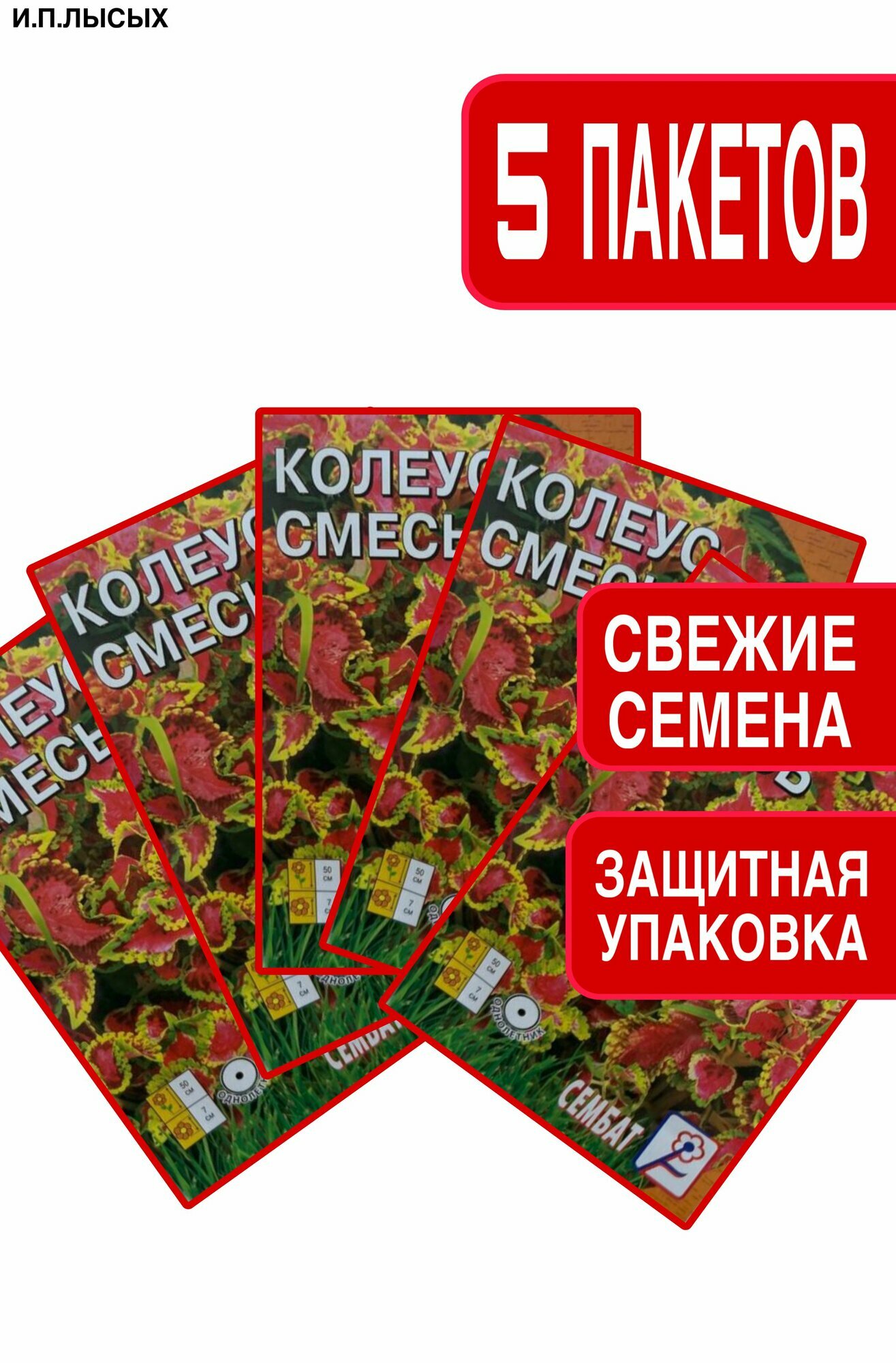 Семена Колеус смесь