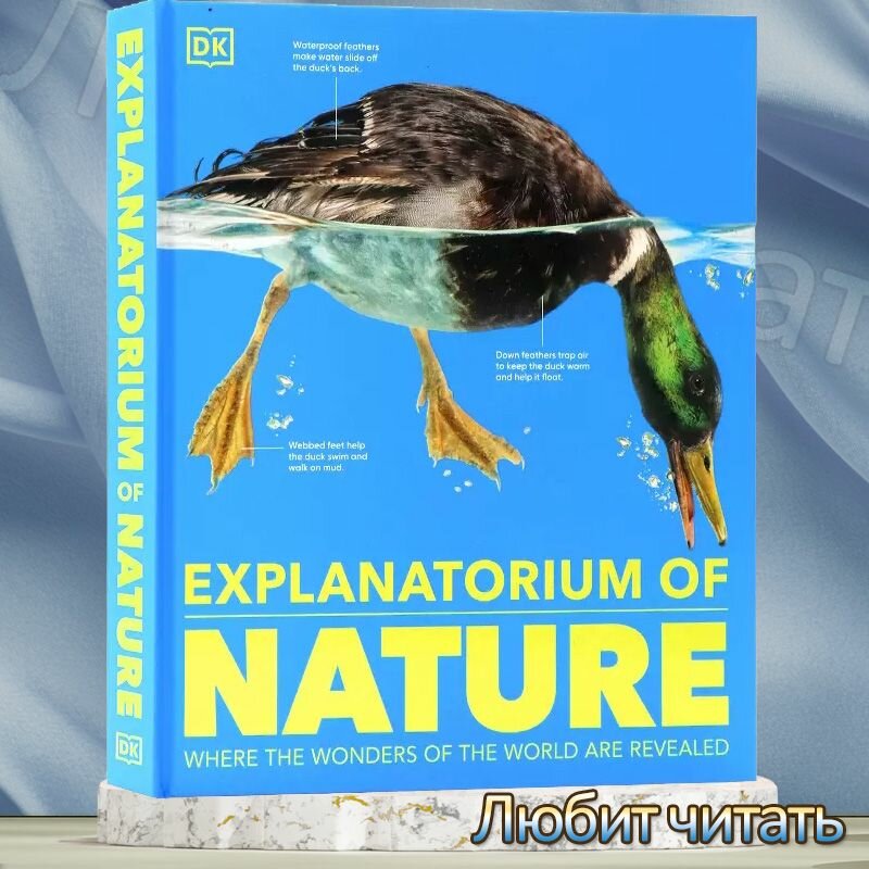 Энциклопедия естественных иллюстраций: DK Explanatorium of Nature