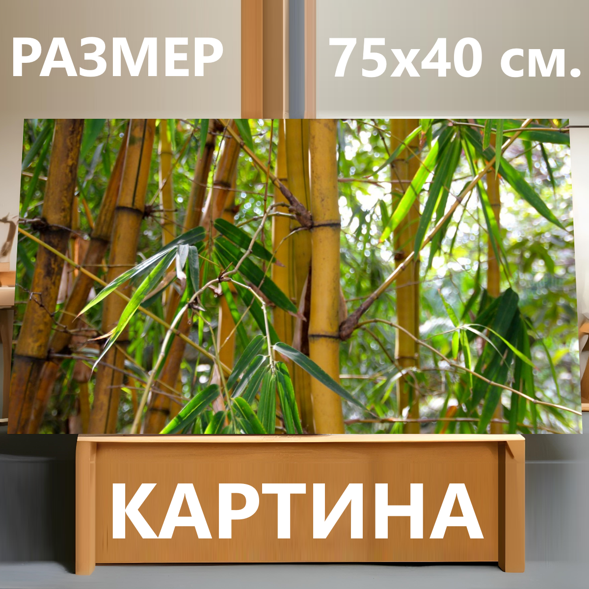Картина на холсте "Бамбук, лес, тропический лес" на подрамнике 75х40 см. для интерьера