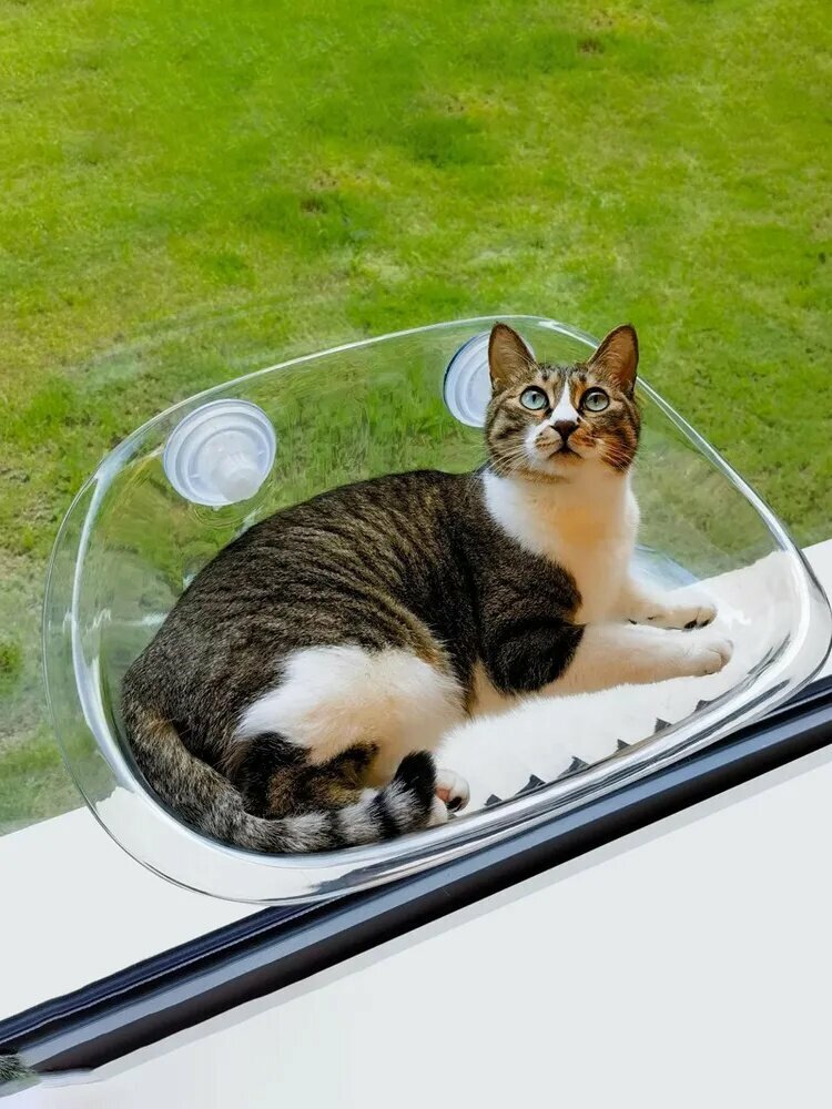 Гамак Для Кошек На Окно