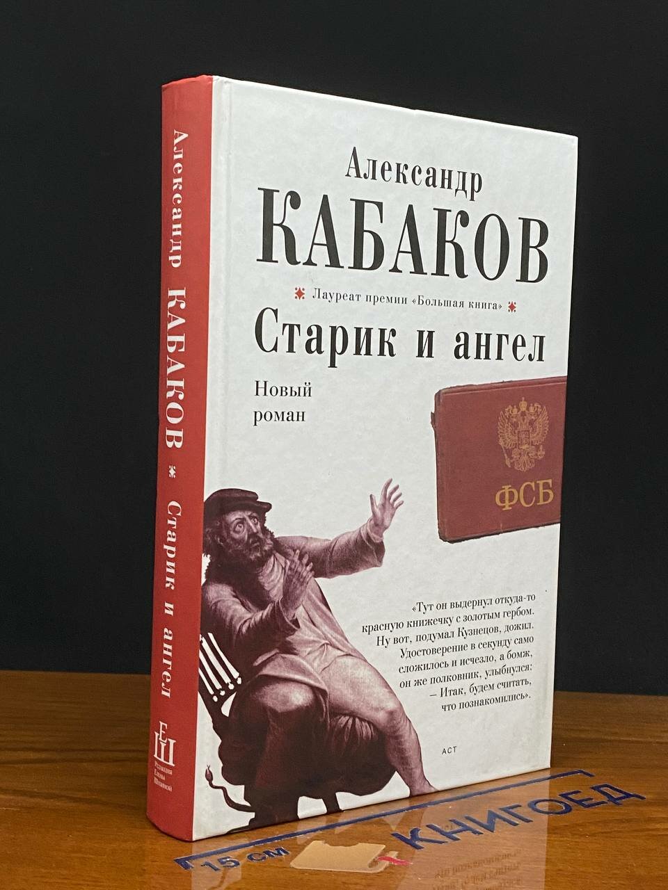 Книга. Старик и ангел 2013 (2041887158598)