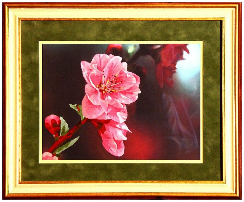 Принцесса Востока N0005