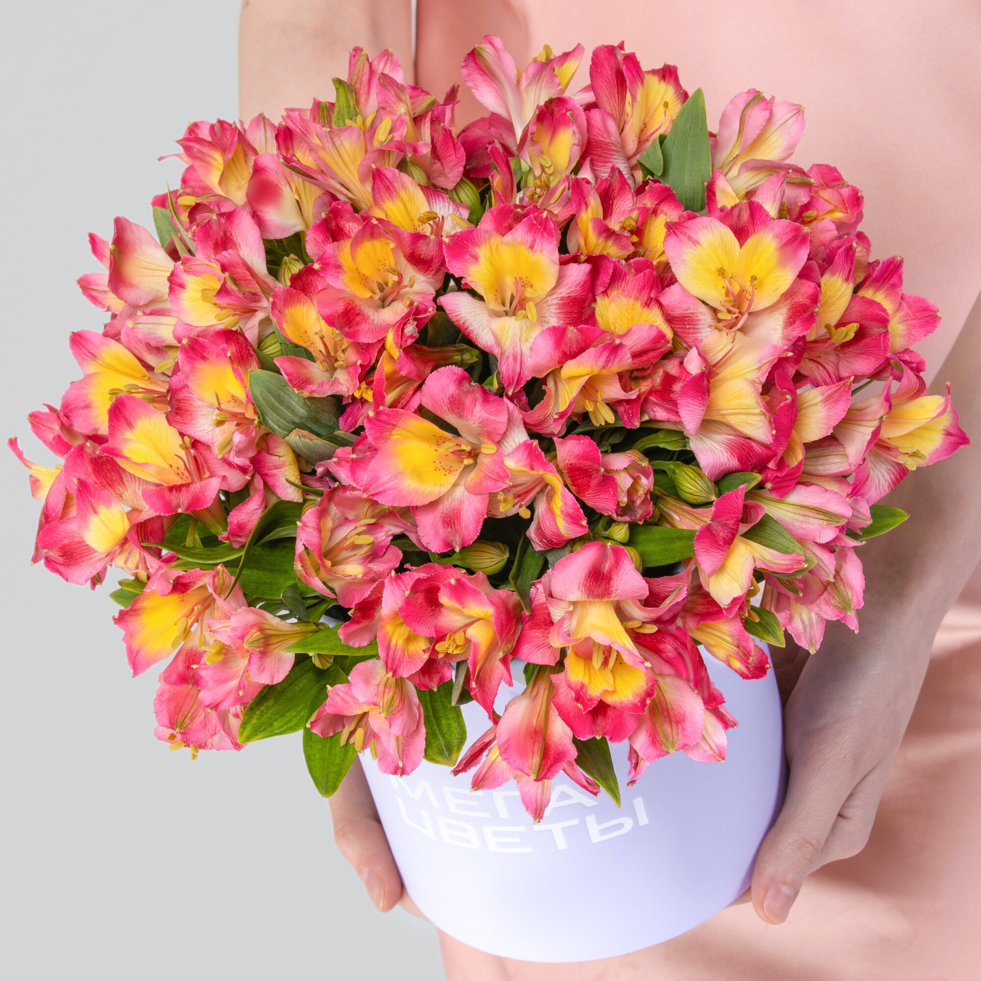 Букет Мегацвет24 "Альстромерии", 25 цветов, розовый, в коробке