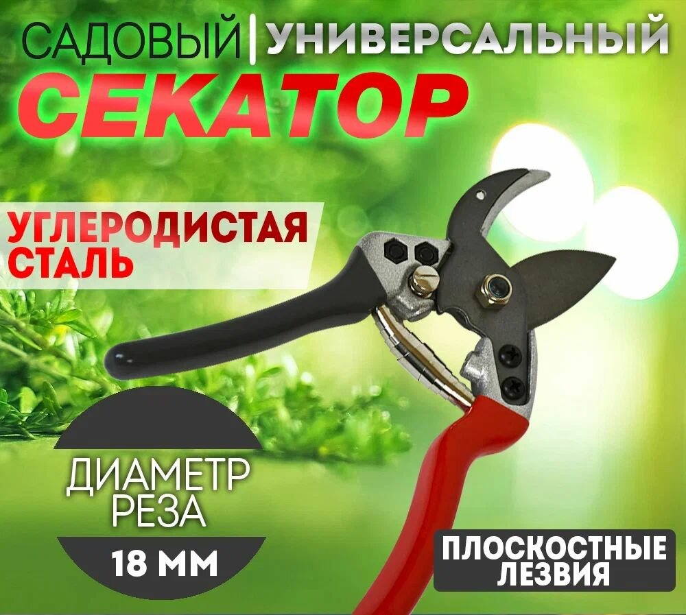 Секатор садовый универсальный техпром, 22 см, SB 020, для кустарников и живой изгороди, для прививки, для сбора урожая
