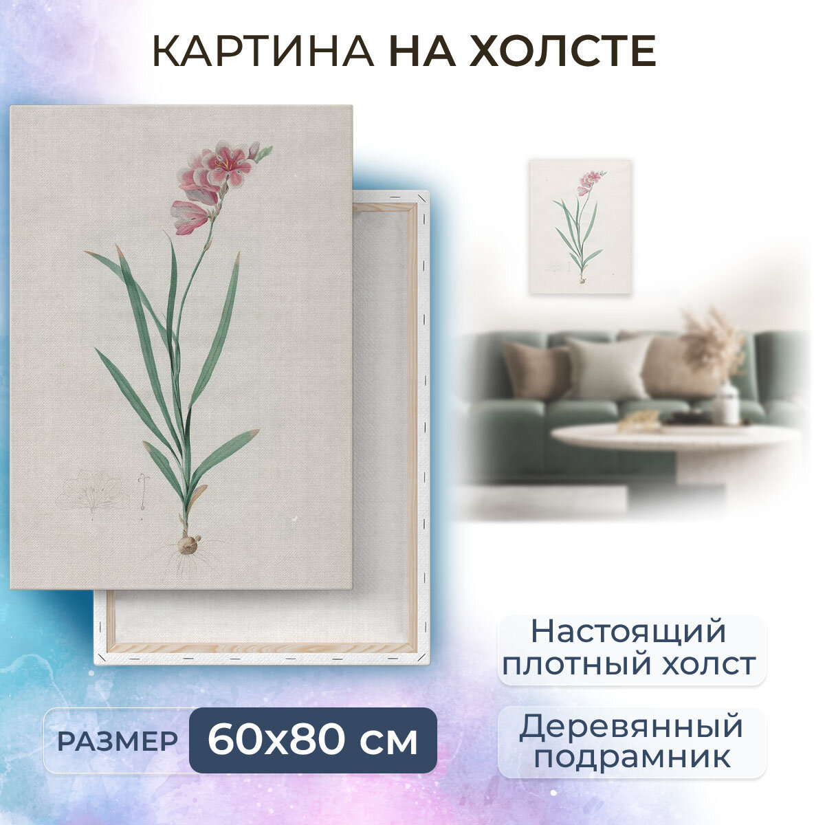 Картина на холсте с подрамником / Pierr - Joseph Redoute / Пьер-Жозеф Редуте