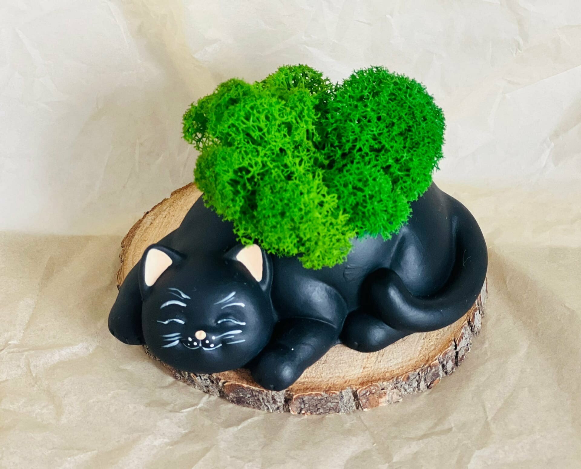 Кашпо со стабилизированным мхом/Кашпо котик/стабилизированный мох/интерьерное кашпо