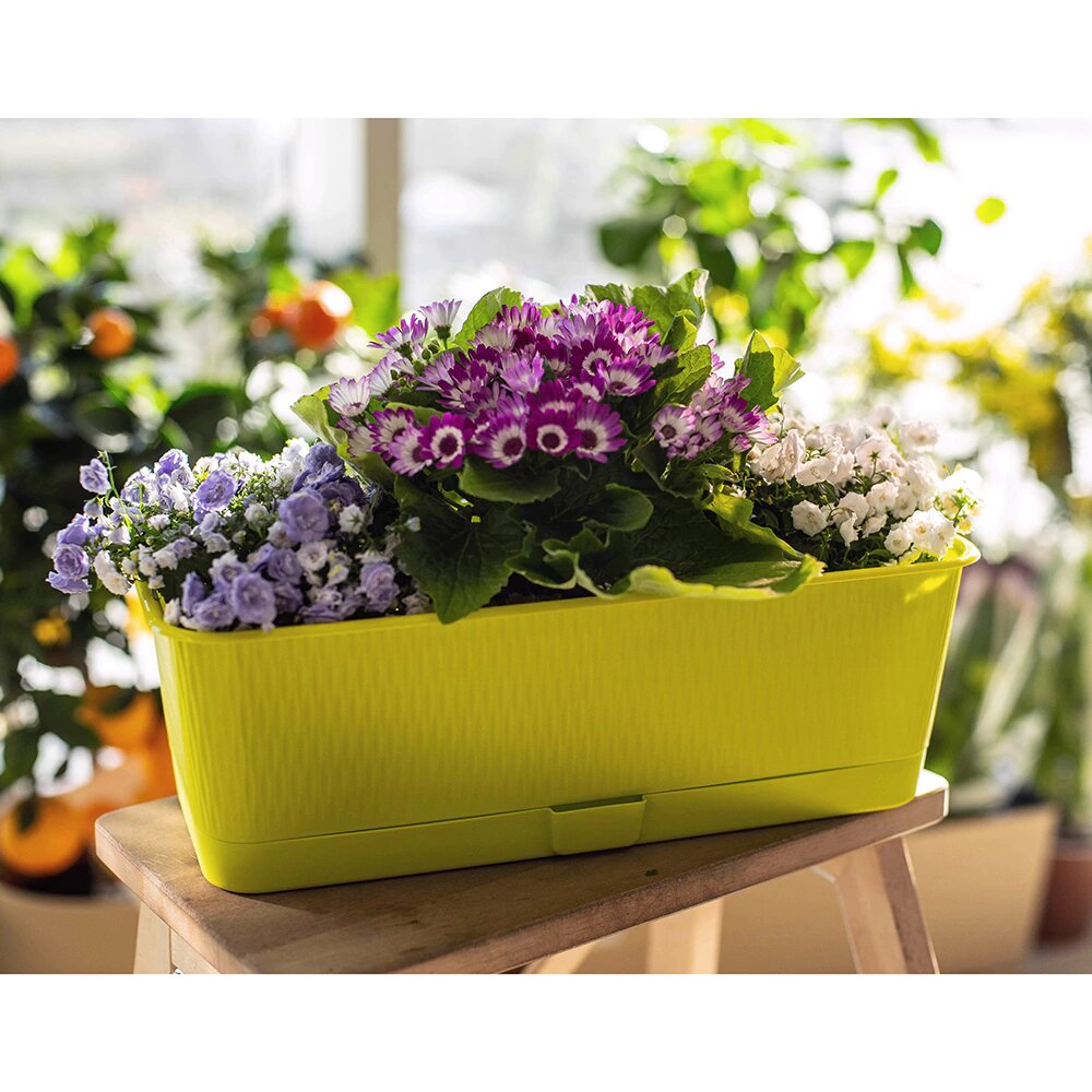 Балконный ящик "Прованс" 6л, пластиковый, прикорневой полив, цвет фисташковый, 40 см x 13 см x 17 см