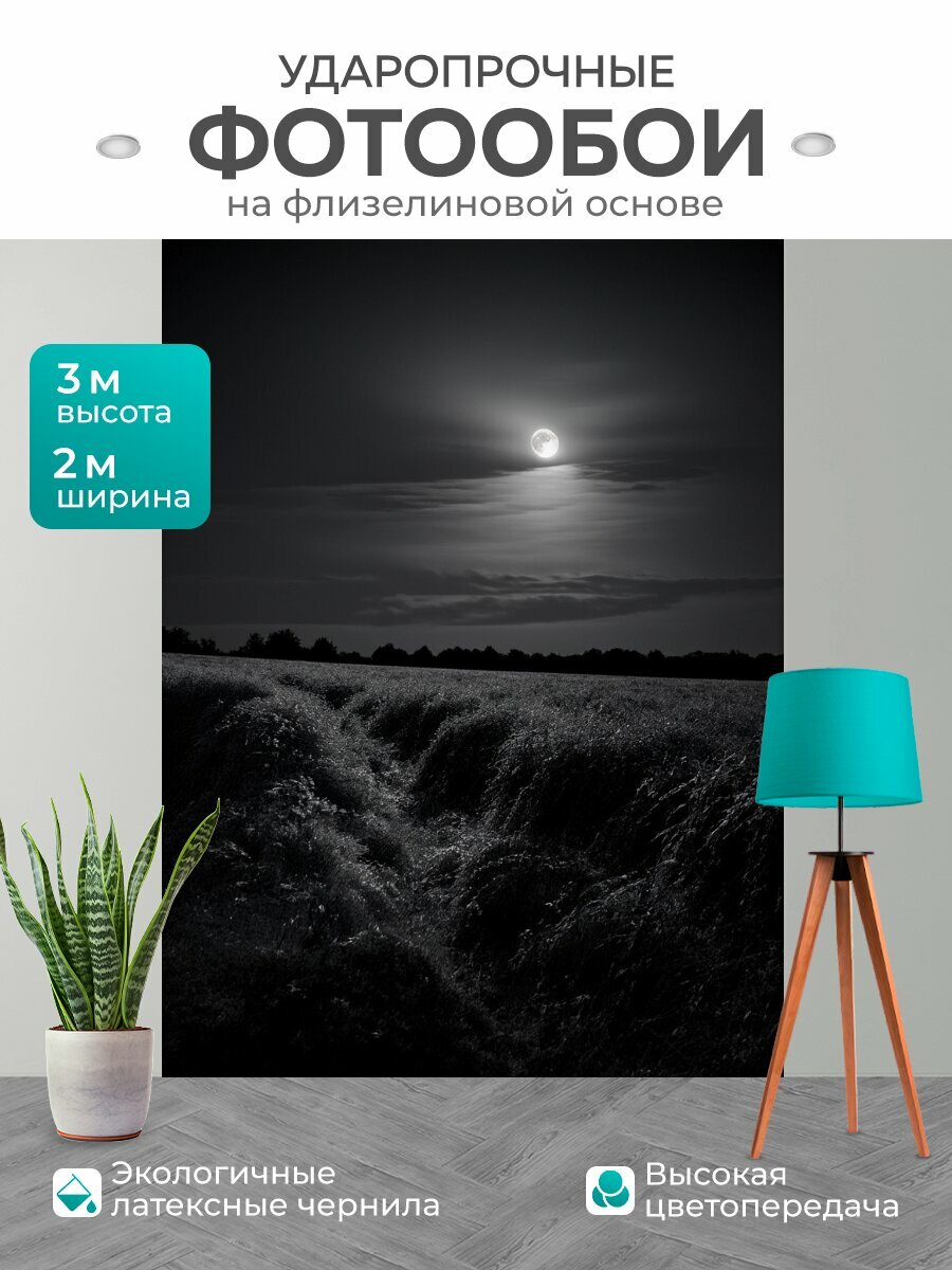 Фотообои моющиеся ударопрочные "Англия, восхитительные пейзажи ясного лунного света, когда мир окутан загадочным черно-белым светом. стиль – черно-белая" 200x300 см. флизелиновые на стену