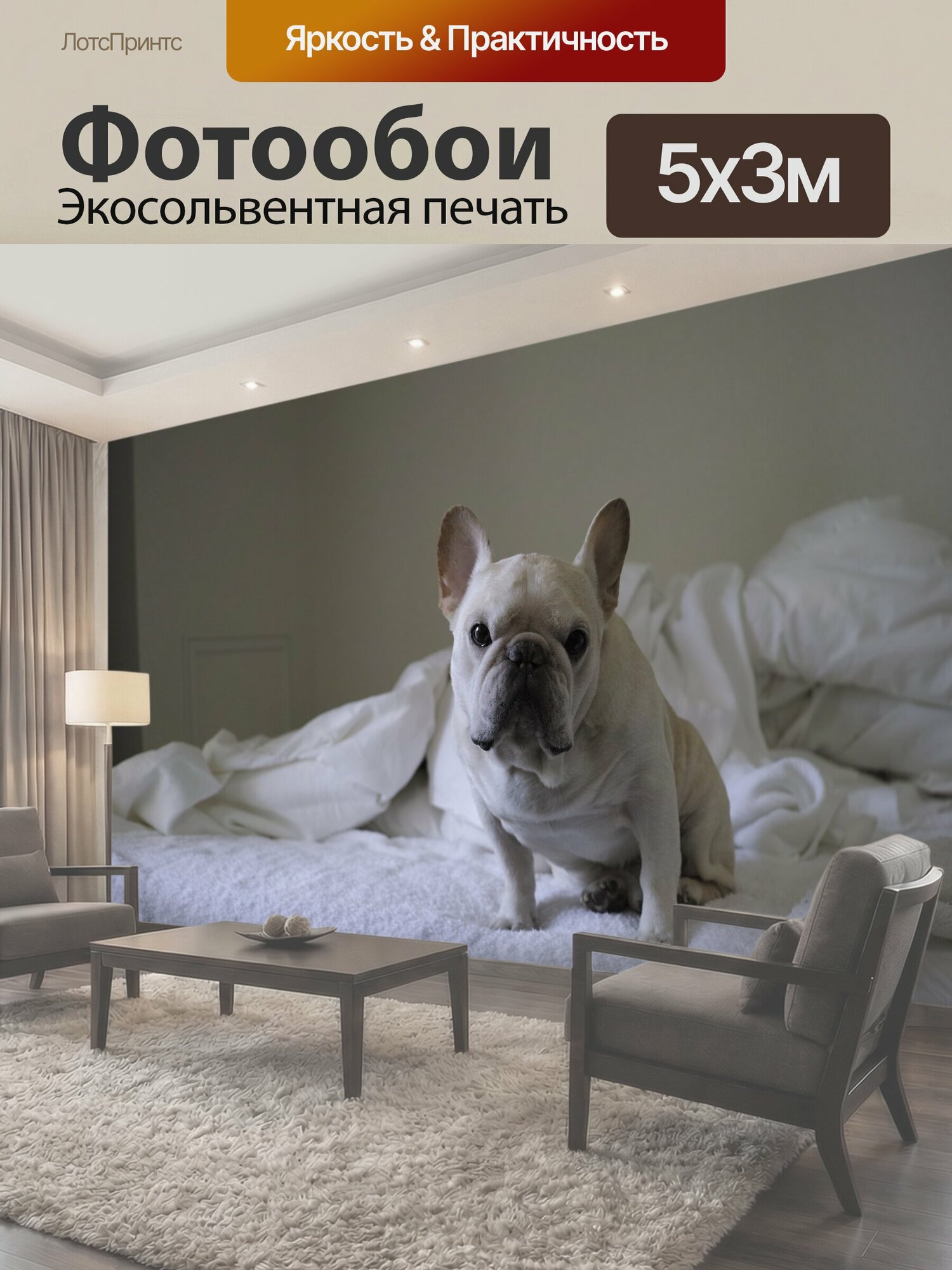 Фотообои "Собака, мило, французский бульдог" 500x300 см. экосольвентная печать