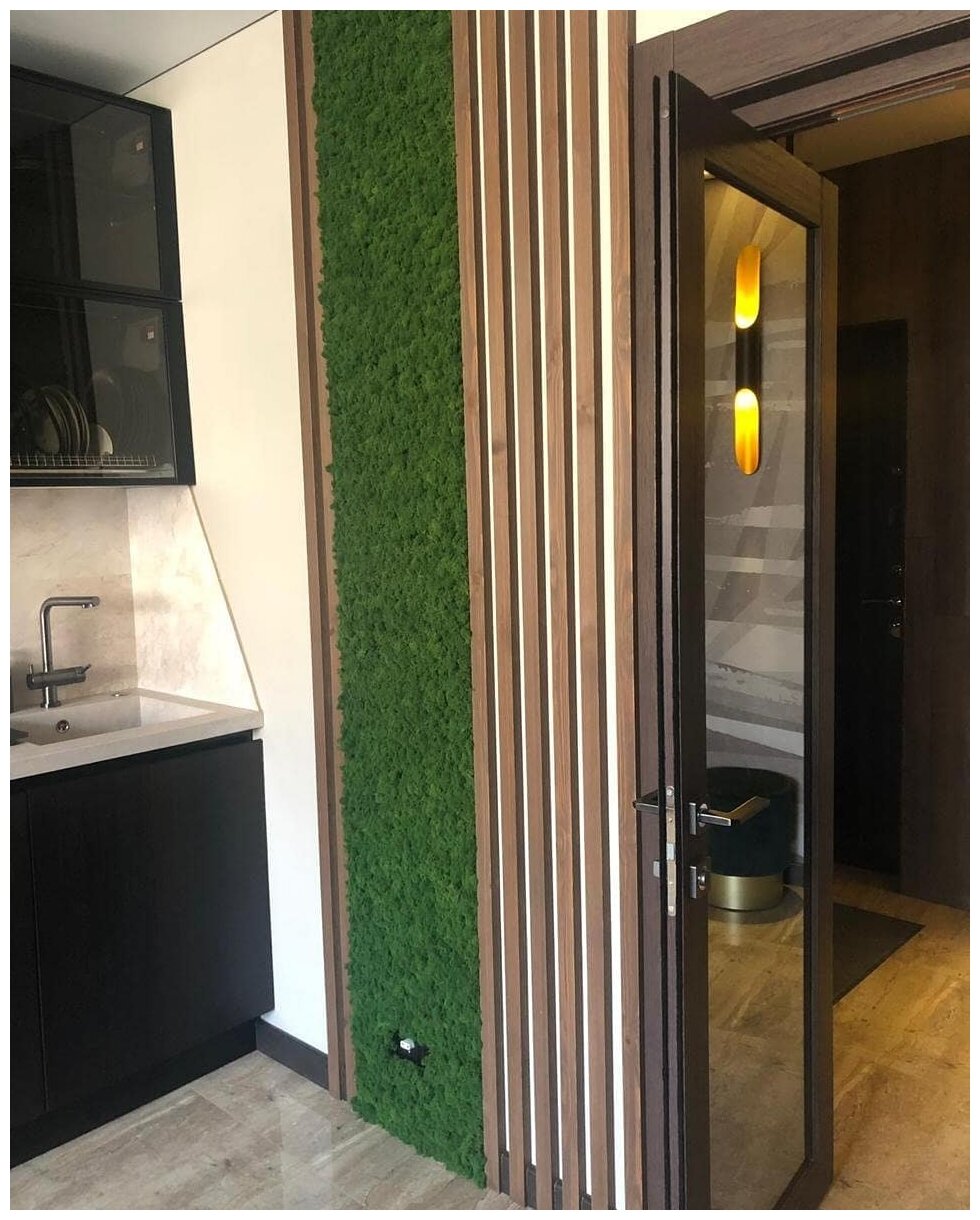 Панно из стабилизированного мха Ягель. Стоимость указана за 1 кв. м.