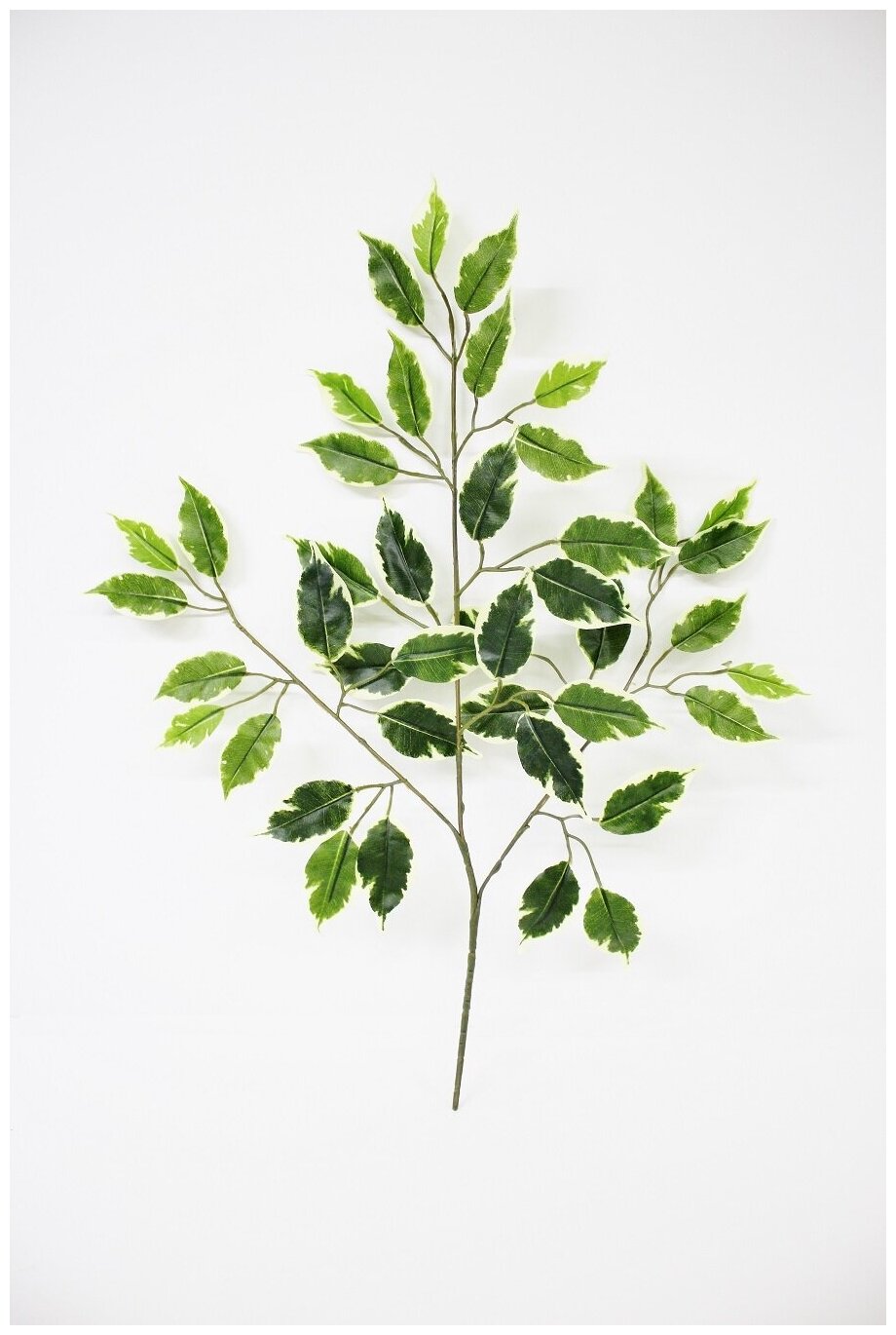 Ветка фикуса искусственная 66 см. (Комплект из 2 шт.), бренд CONEKO - декор для дома и офиса