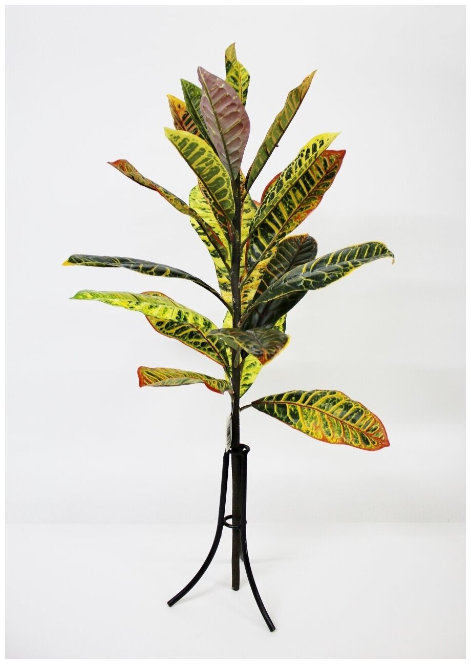 Кротон - куст 96 см, бренд CONEKO - декор для дома и офиса