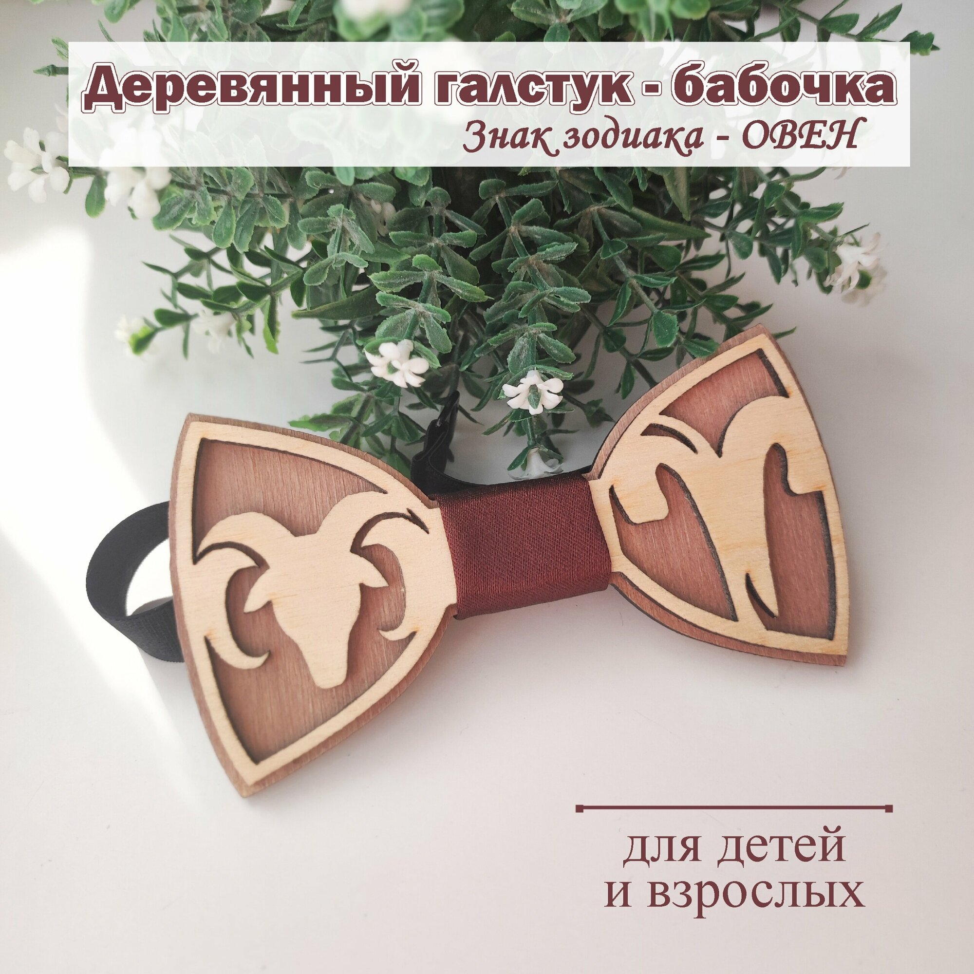 Бабочка SunLady