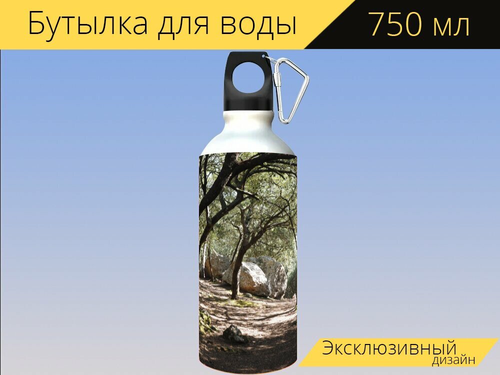 Бутылка фляга для воды "Каменный дубовый лес, деревья, каменные дубы" 750 мл. с карабином и принтом