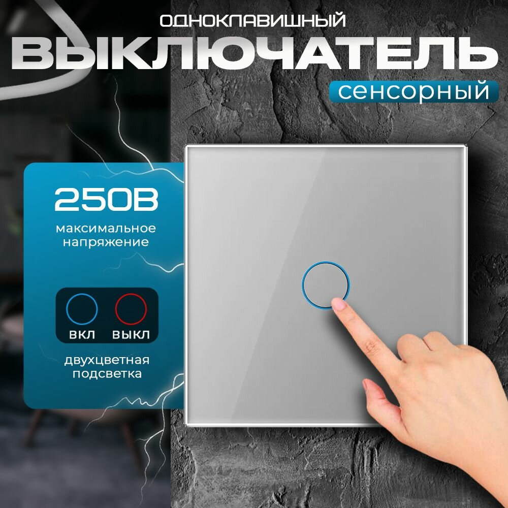 Выключатель одноклавишный сенсорный Livolo серый