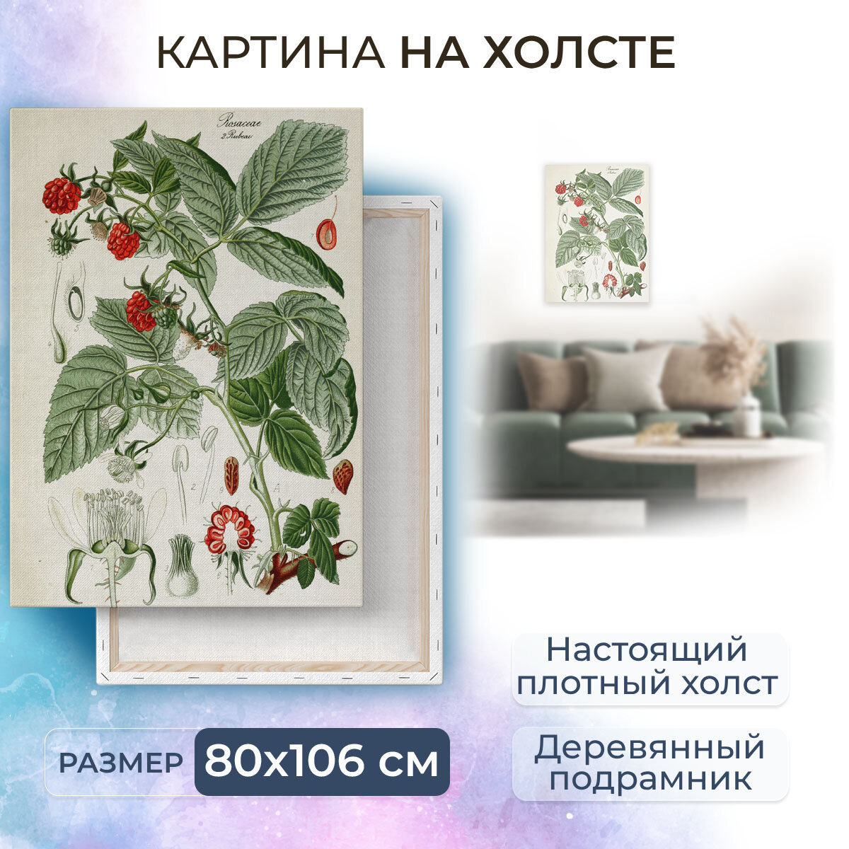 Картина на холсте, репродукция / Pierr - Joseph Redoute / Пьер-Жозеф Редуте / Размер 80 x 106 см