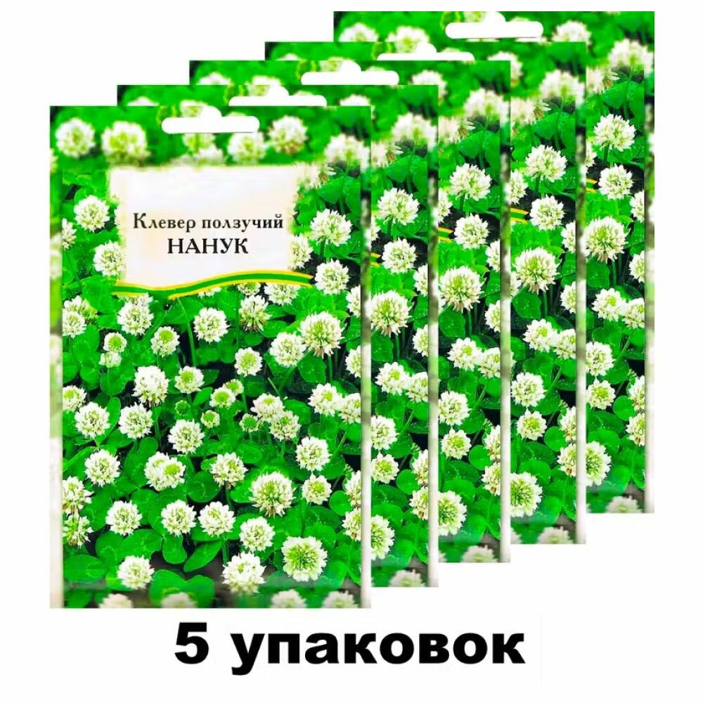 Сидерат "Клевер ползучий", 5 упаковок по 20 г: длина сформированных цветков составляет от 15 до 50 см; норма высева 0,5 кг / 100 кв. м; также за газоном из клевера данного сорта легко ухаживать