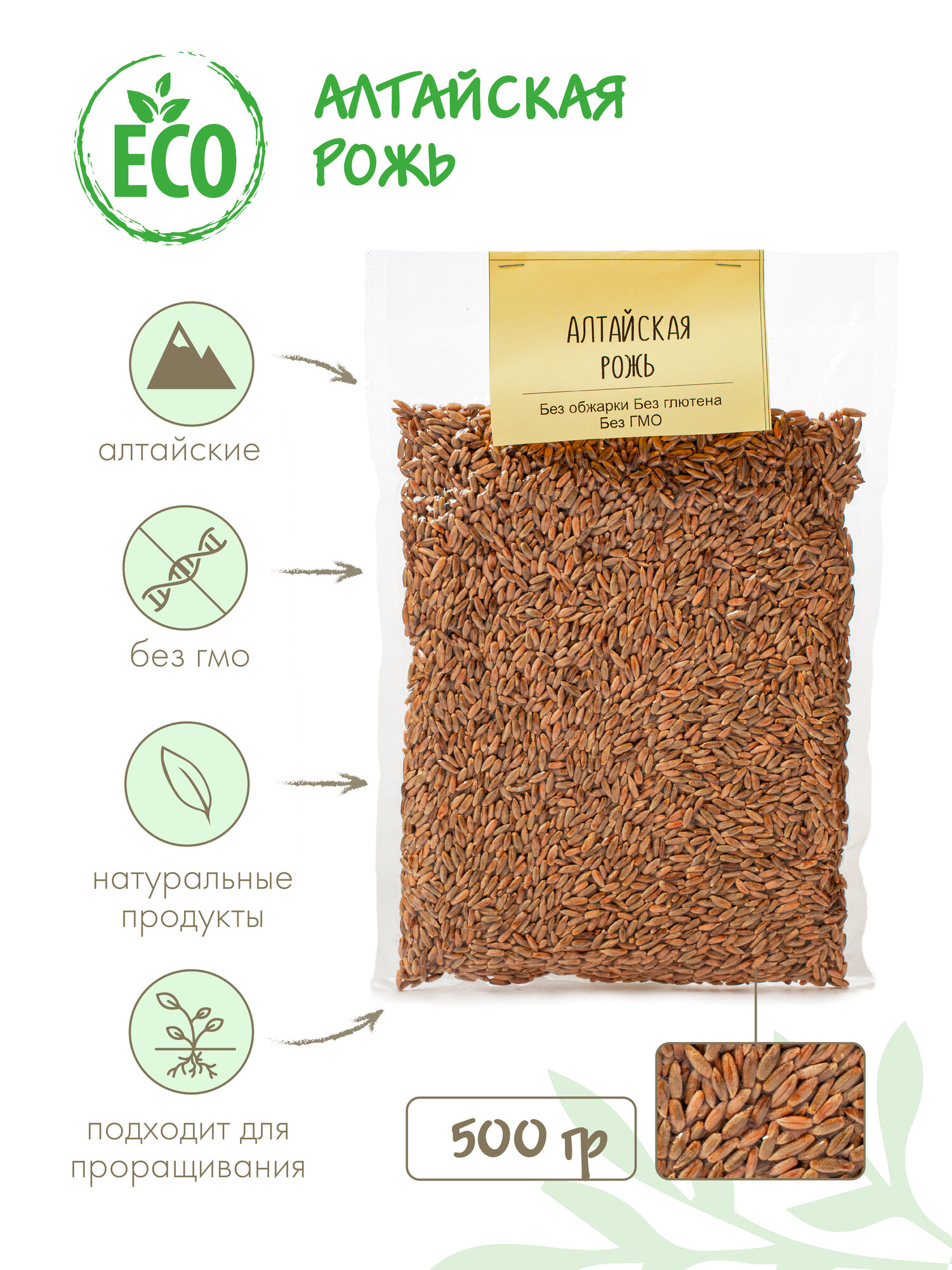 Рожь, био зерно, микрозелень, для проращивания, диетические продукты питания, бакалея, крупа 500 гр киндераш