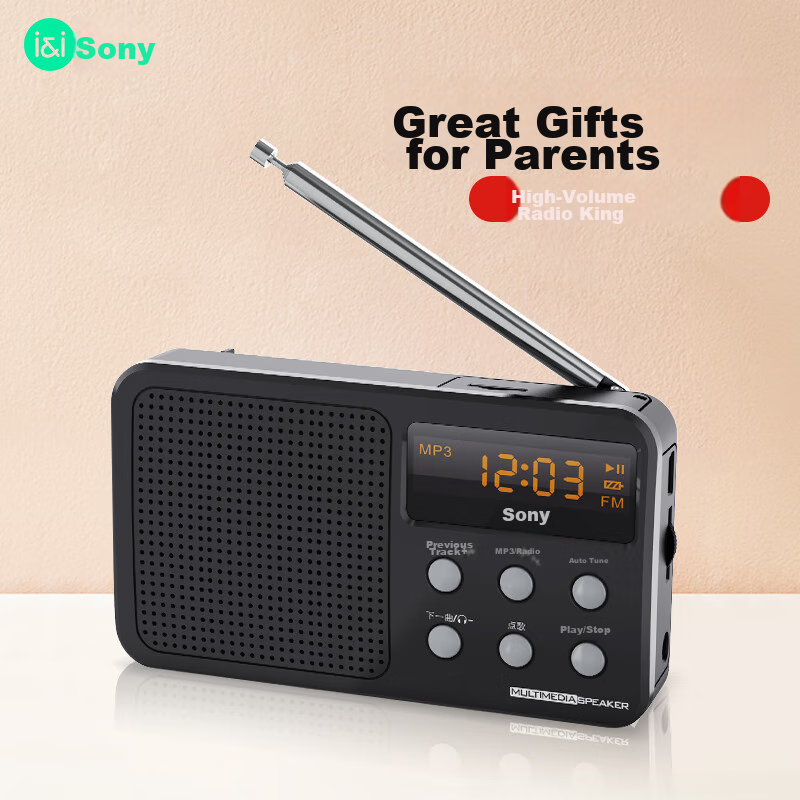 Soaiy S91 Radio, Portable FM Player for Elderly, Rechargeable, Card-Insertable, Mini Speaker, Mini English CET-4/6 Player, Card-Insertable, for Seniors, Black