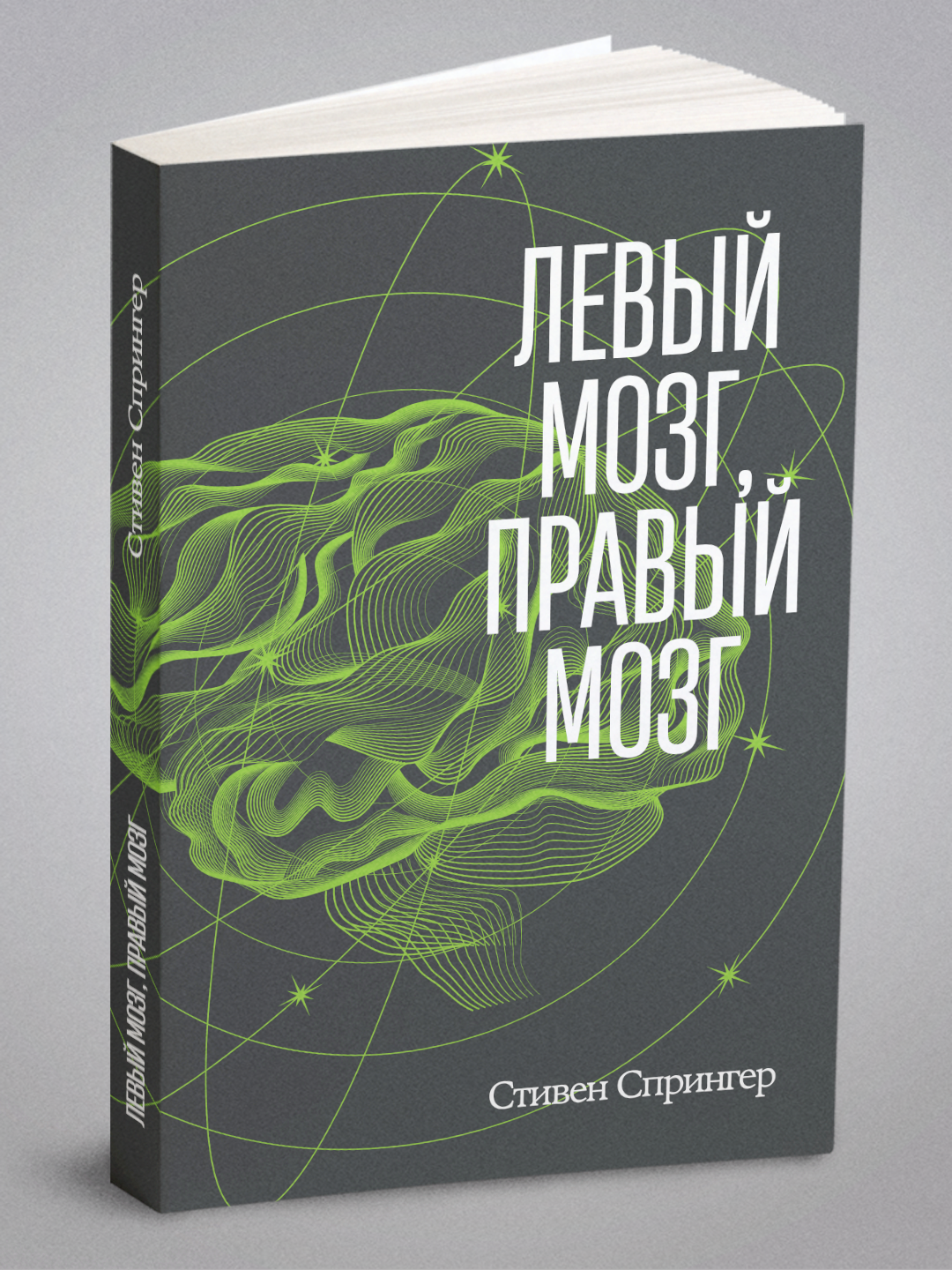 Левый мозг, правый мозг. Асимметрия мозга