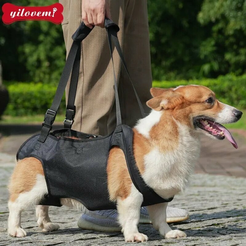 Ходунки для собак, поддержка задних лап пожилых и травмированных собак. Поддерживающая шлейка, разме XL