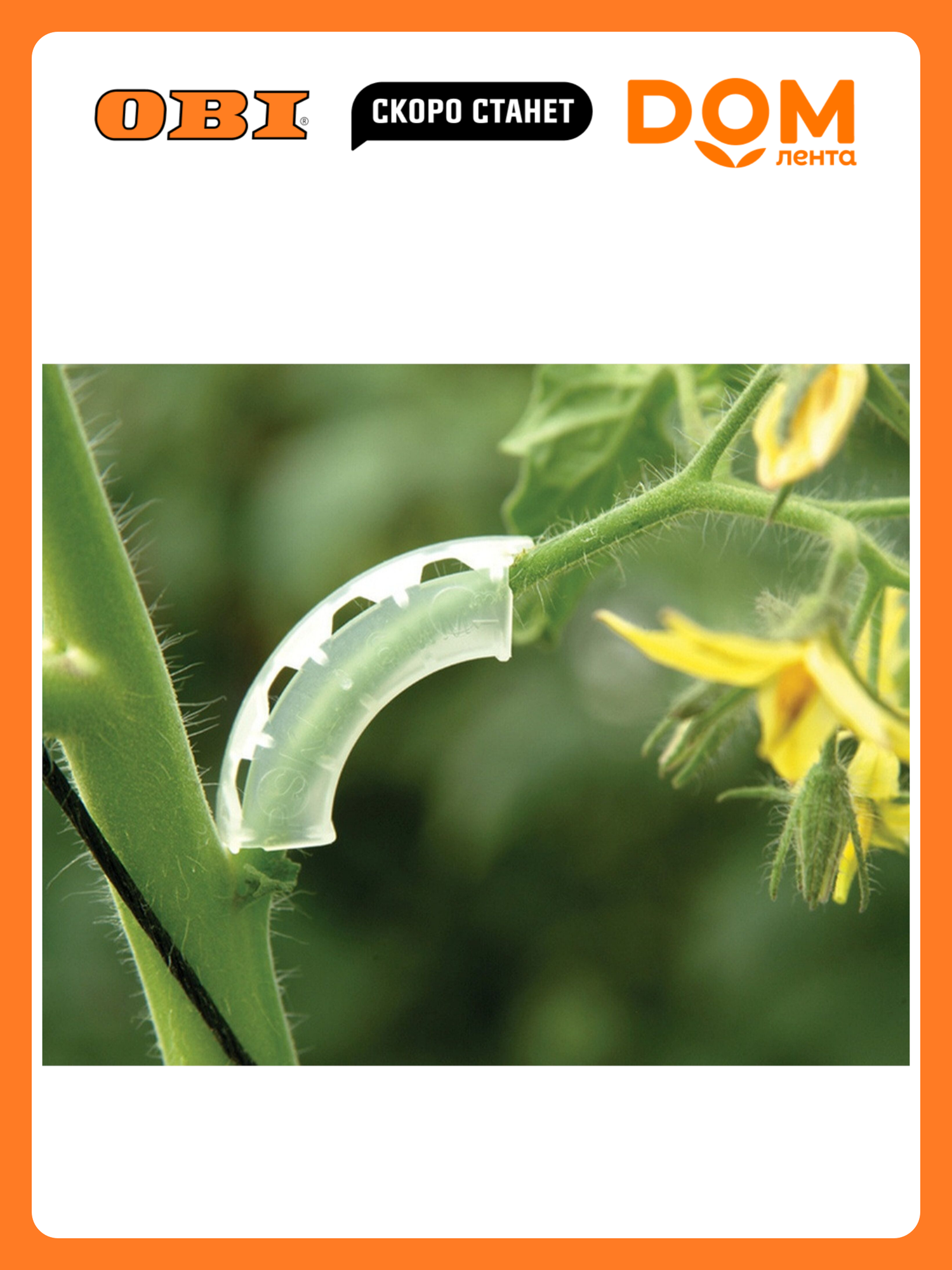 Кистедержатель круглый полипропиленовый 4х10х20 см прозрачный