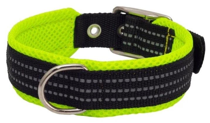 Каскад ошейник нейлоновый с мягкой подкладкой 39-45 см, Зеленый