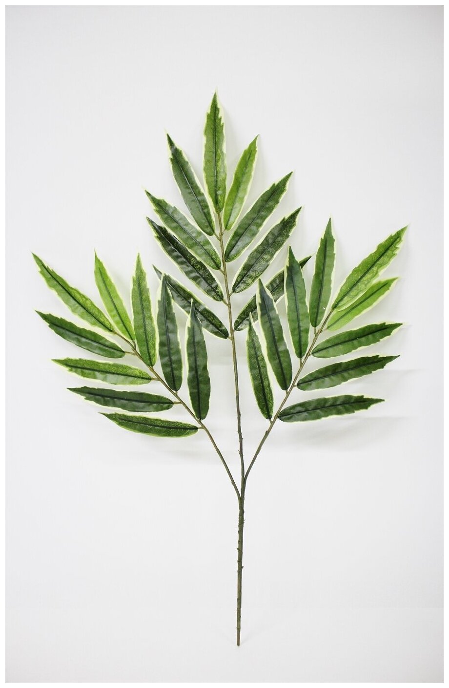 Ветка манго с тонкими листьями искусственная 55 см. (Комплект из 2 шт.), бренд CONEKO - декор для дома и офиса