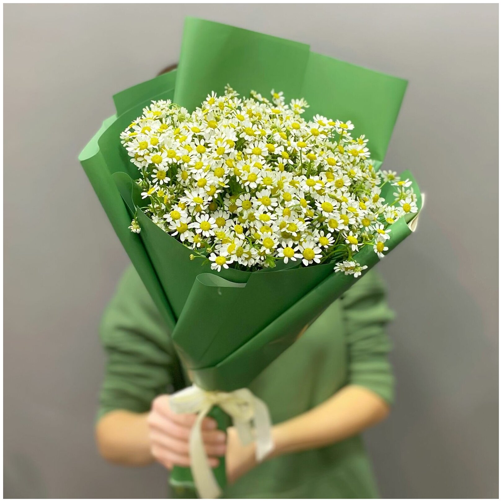 Монобукет "Флавель", 15 кустовых ромашек, 50см, в зеленой пленке