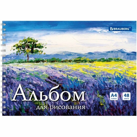 Альбом для рисования Brauberg А4, 48 л, гребень, обложка картон, , 205х290 мм, "Летний пейзаж" (2 вида), 106328