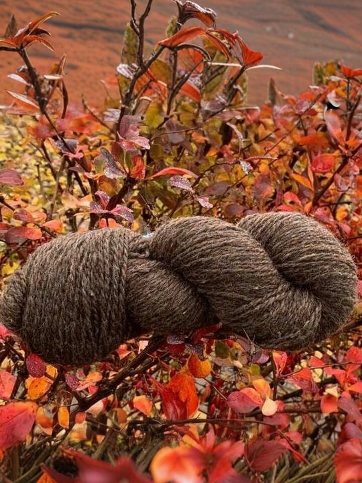 Пряжа Дундага 6/2 tweed VF-32 108г (80%merino)