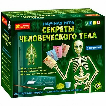 Научная игра "Секреты человеческого тела Анатомия" 8+ "Ранок"