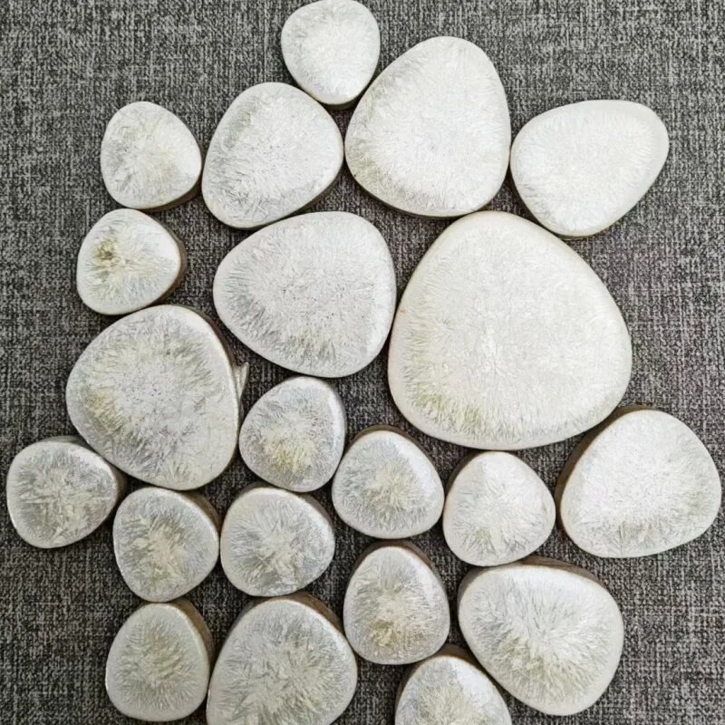 Мозаичные плитки из керамики Белый, Oval White Focus