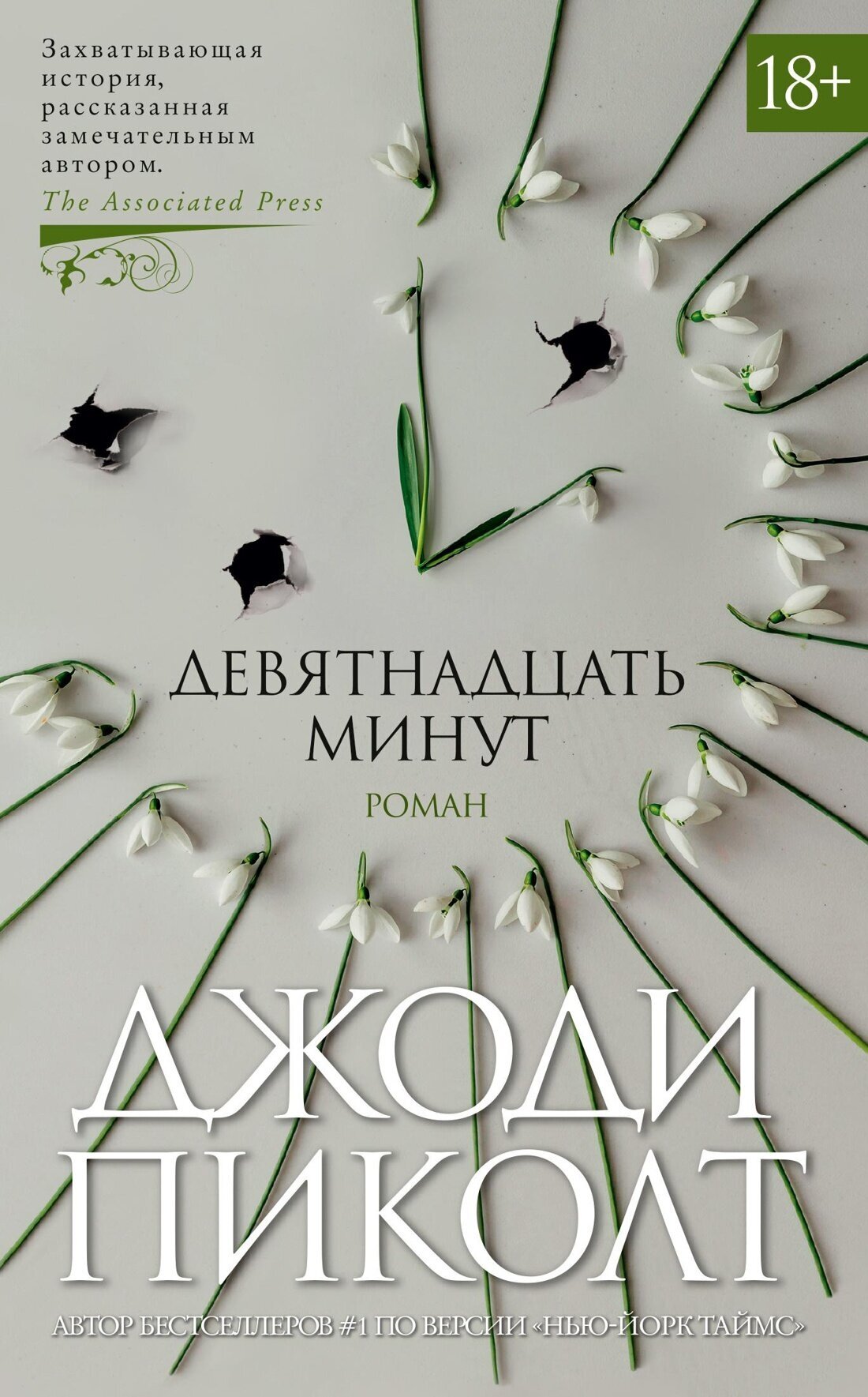 Книга Девятнадцать минут