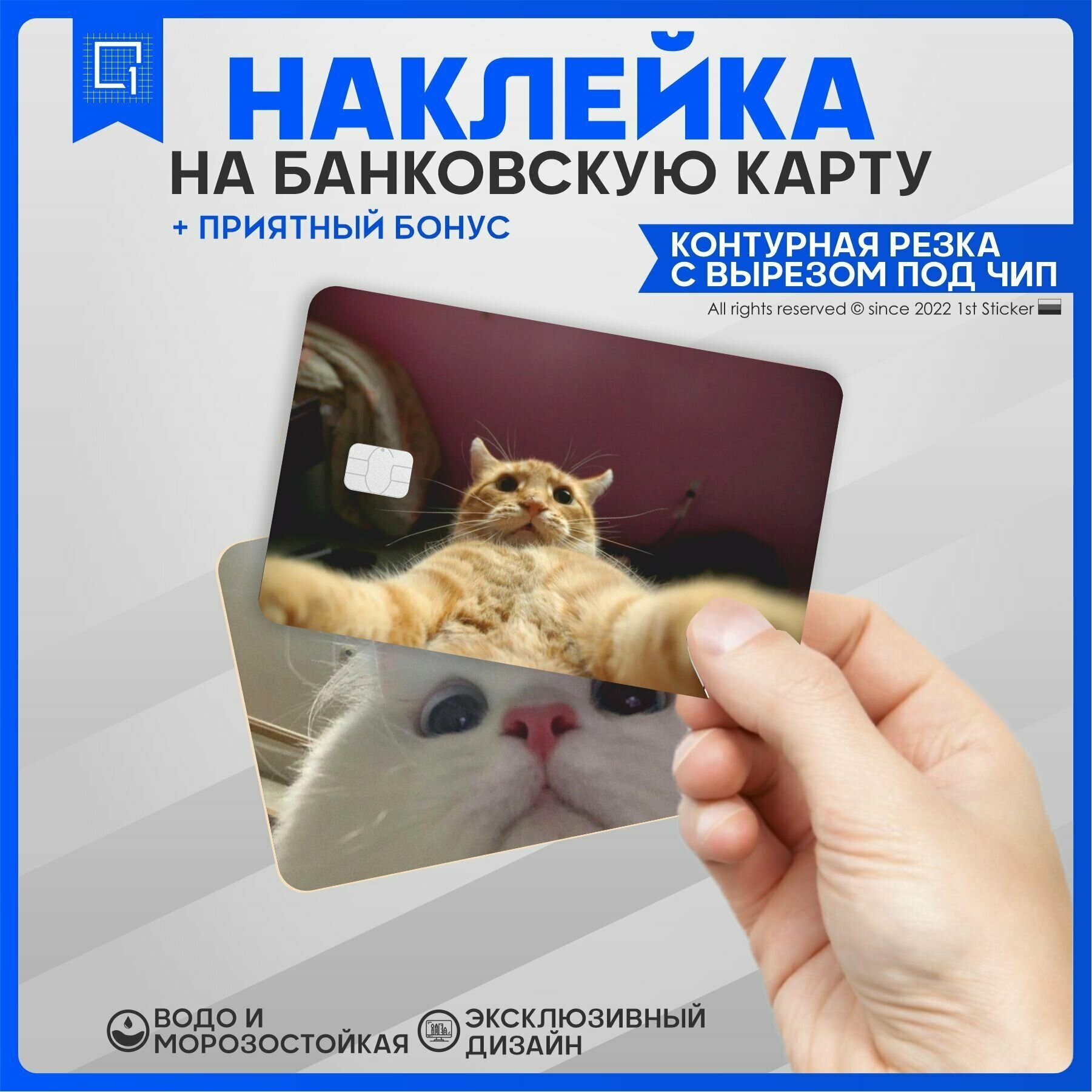 Наклейка на банковскую карту Котики мем