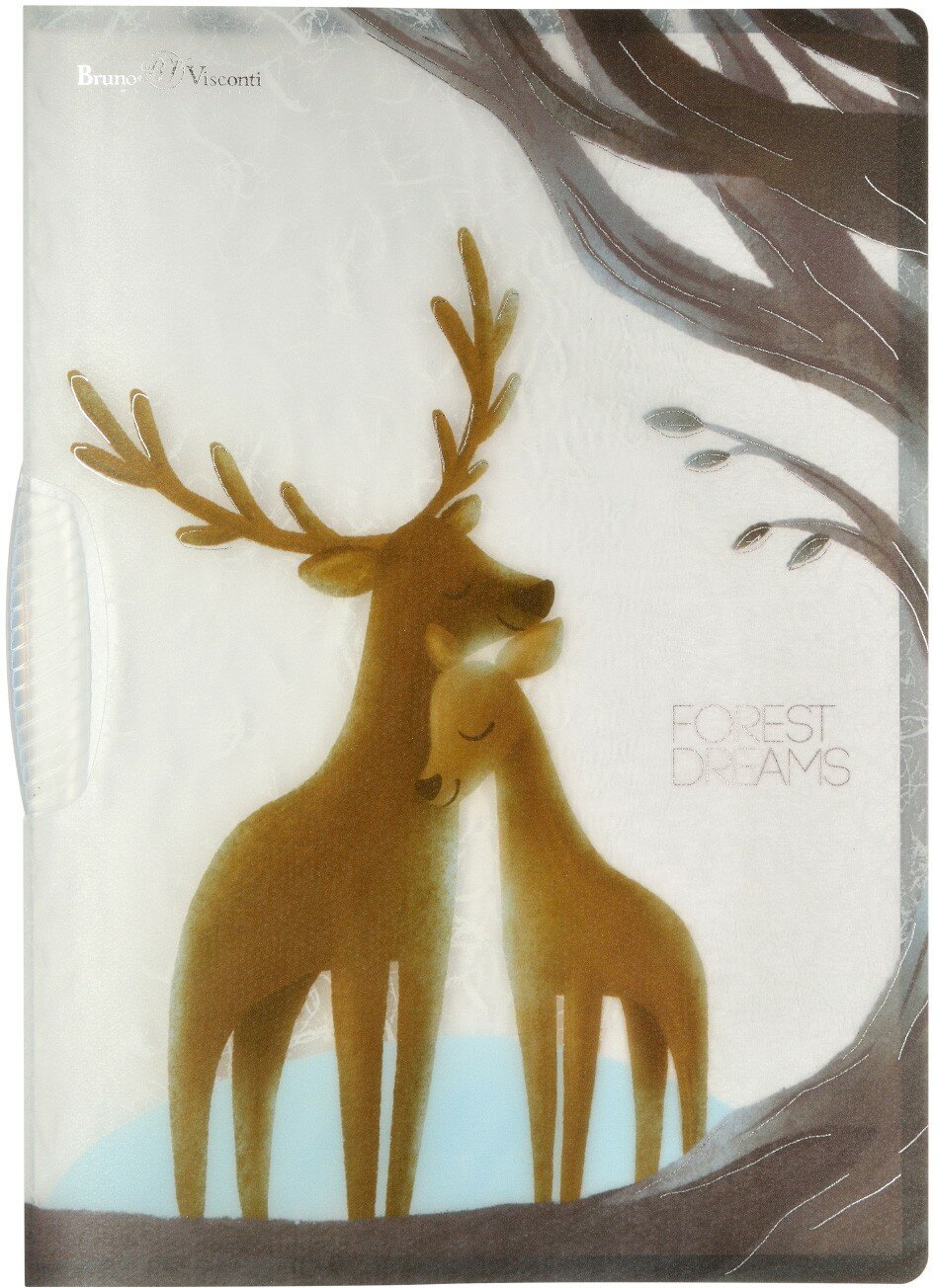 Папка-файл, А4, FOREST DREAM, 2 вида (14-040/04)