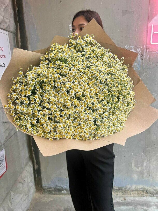 Букет Well Flowers "Ромашки", круглый, 101 цветок, высота 50 см, S, букет свежих цветов