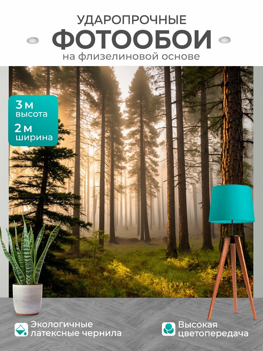 Фотообои моющиеся ударопрочные "Утро в сосновом лесу, туман, свет солнца, свежий воздух" 300x300 см. флизелиновые на стену