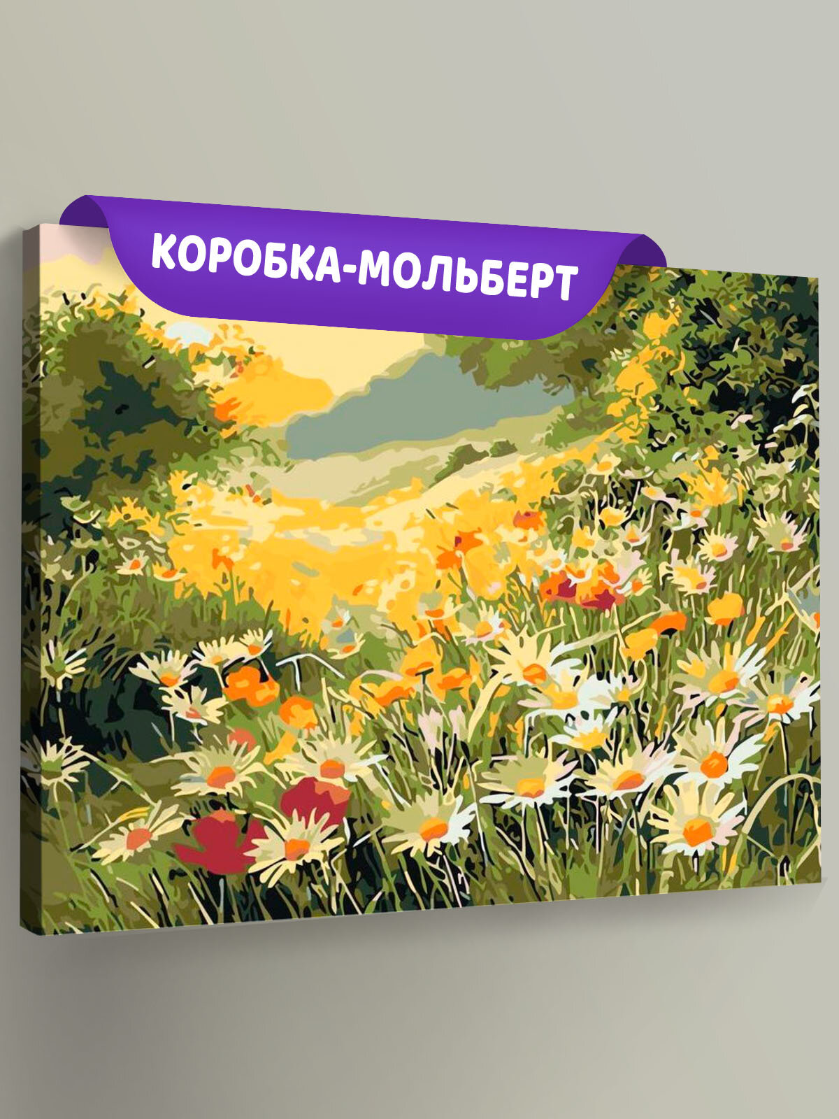 Картина по номерам ЖПН на холсте с подрамником "Пейзаж: цветы ромашки на лугу" Раскраска 40х50 см