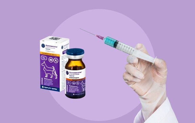 Раствор VIC Холликалм р-р. д/ин, 10 мл, 1уп.