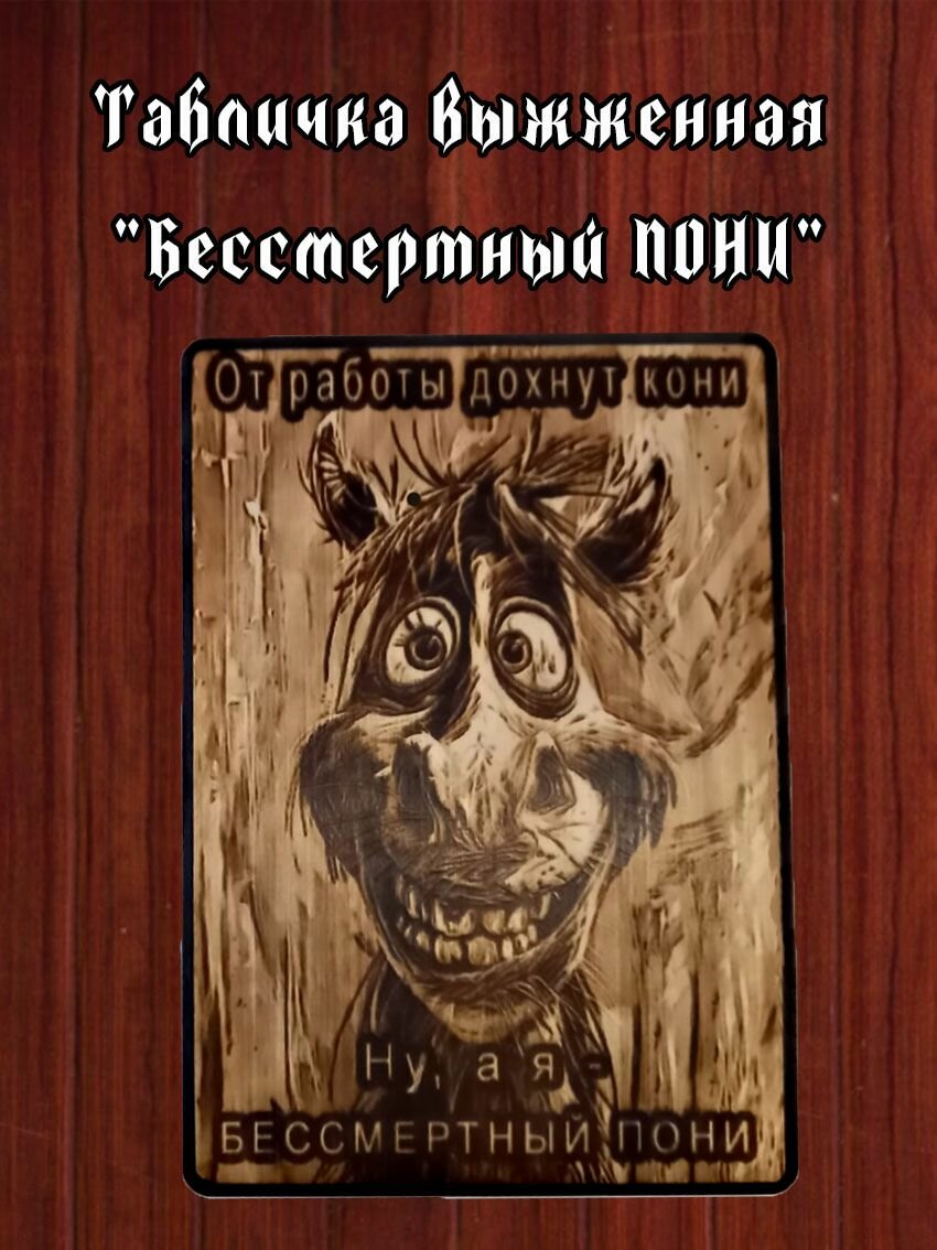 Табличка на дверь "Бессмертный пони", выжженная, декоративная, подарочная, прикольная, деревянная. 15х21см